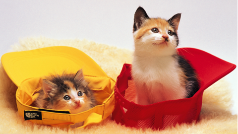 codoc コードク | 8/11放送 FMHOT839 アニソンミュージアム 聴取のしおり (非公式)