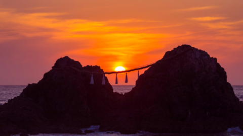 codoc コードク | ブサ明太子 の記事一覧